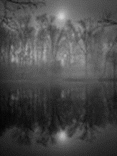 david-hucker-1 – MONTGOMERY COUNTY GUILD OF PROFESSIONAL ARTISTS