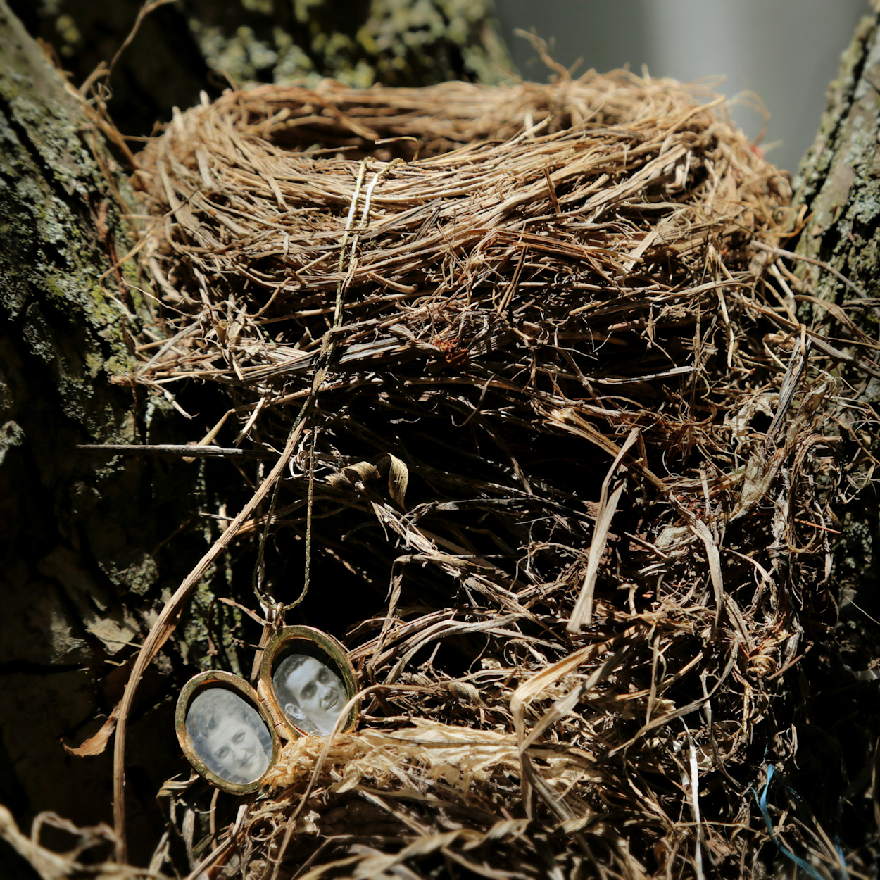 Pam McLean-Parker – MONTGOMERY COUNTY GUILD OF PROFESSIONAL ARTISTS